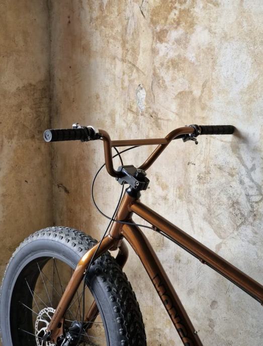 Mongoose Fatbike Panabikes custom