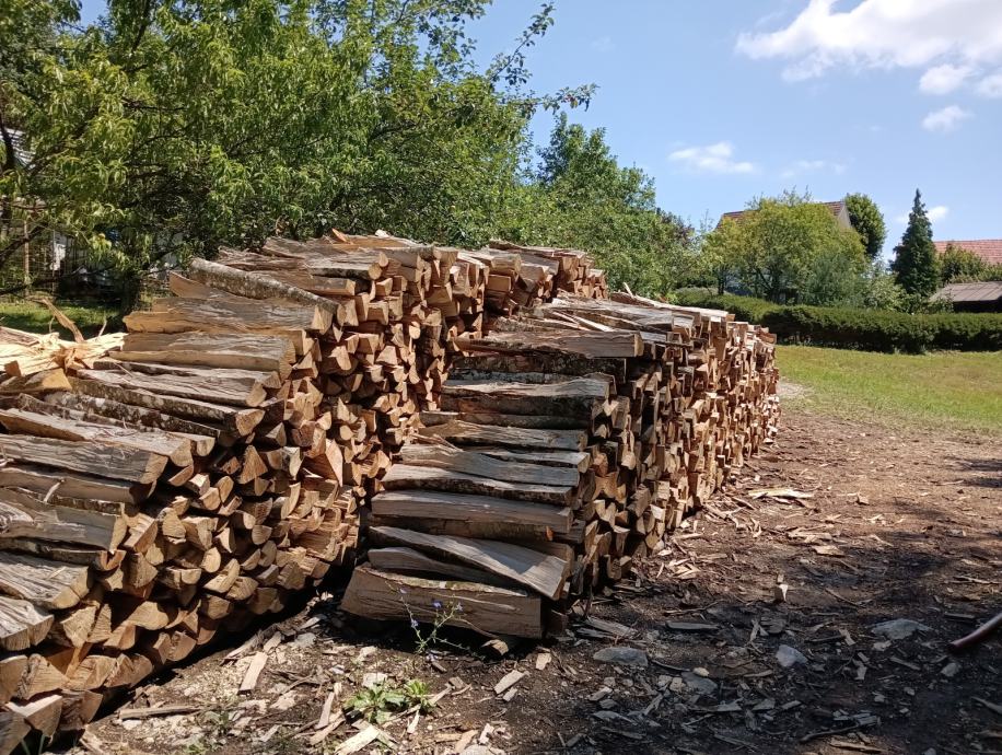 bukova drva