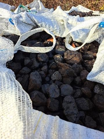 ČEŠKI PREMOG-ZNIŽANA CENA!!!