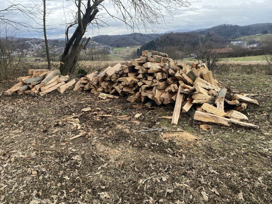 Drva, Les (Prodam Bukov ,leskev ,kostanj in cesna)
