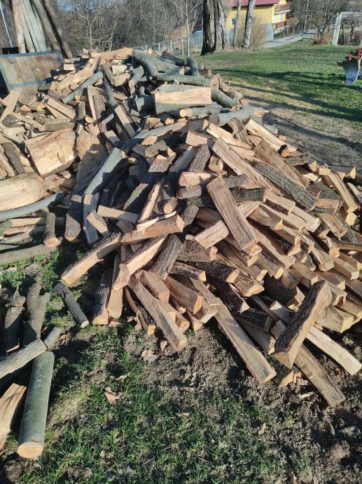 Sekana drva bukev, hrast