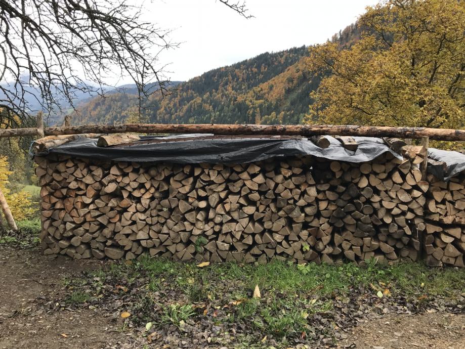 Suha trda drva - jesen in breza