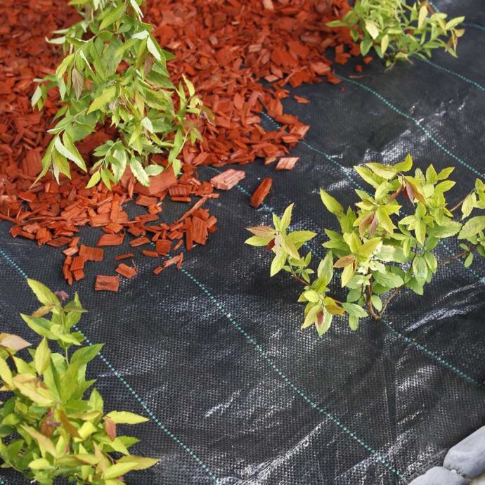 Nature Talna ponjava proti plevelu s klini 2x5 m črna