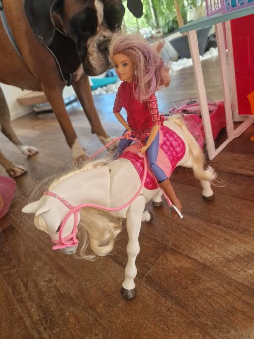 Barbie konj, avto, pes, ostala oprema, oblacila, obutev...