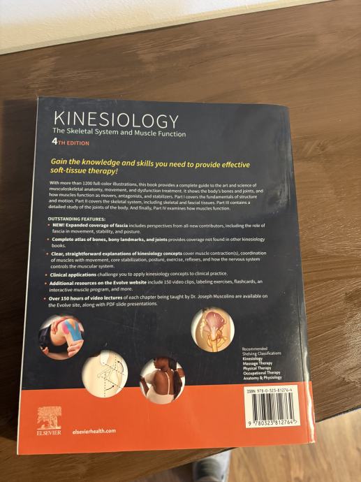 Kinesiology the skeletal system and muscle fun. - Joseph E. muscolino