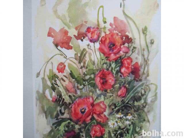 Akvarel grafika maki 44cm x 34cm karton 200g