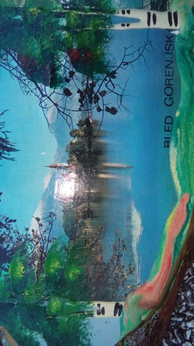 slika Bled , Brezje in Bohinj na lesu 56cm
