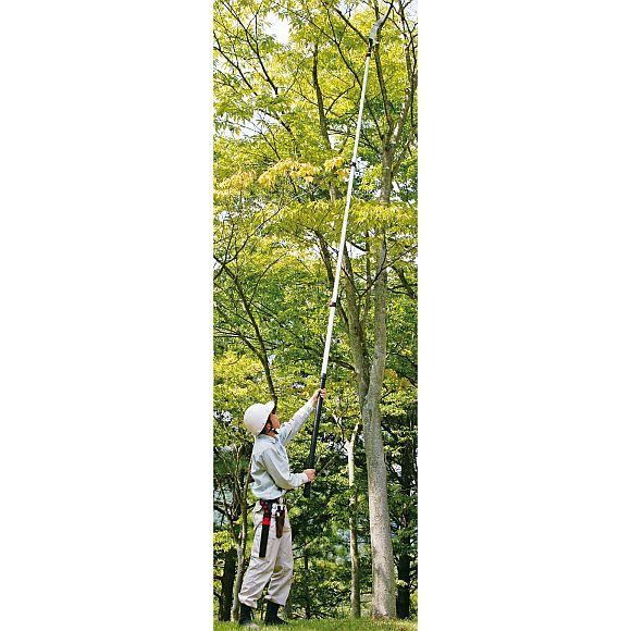 Silky Hayauchi teleskopska palčna žaga - 390-6,5 ekstra velik zob, L23