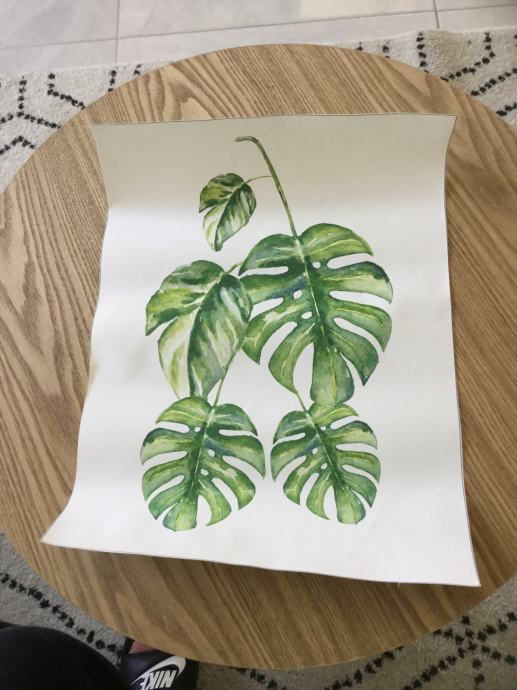 Okrasne slike, print