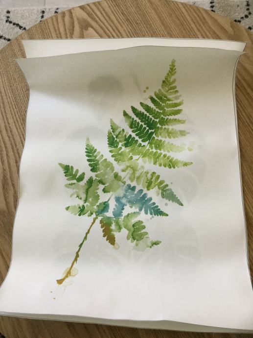 Okrasne slike, print