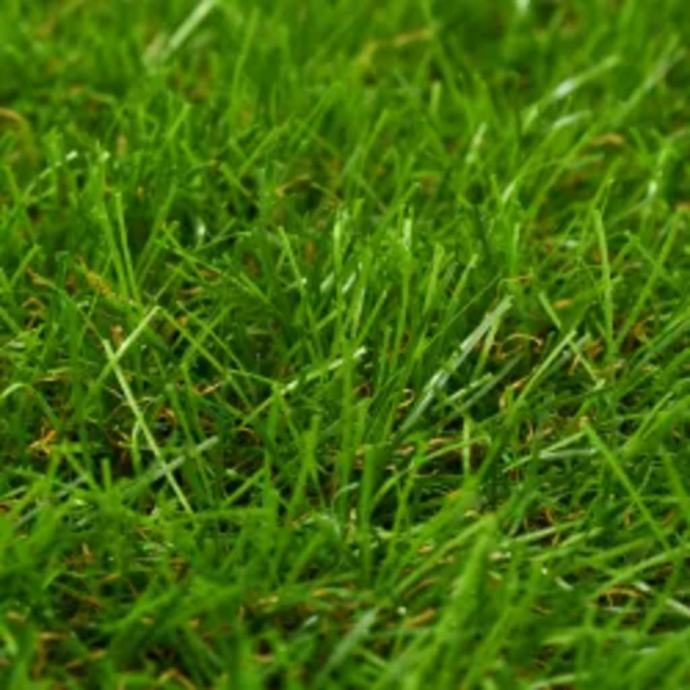vidaXL Umetna trava 1x15 m/40 mm zelena