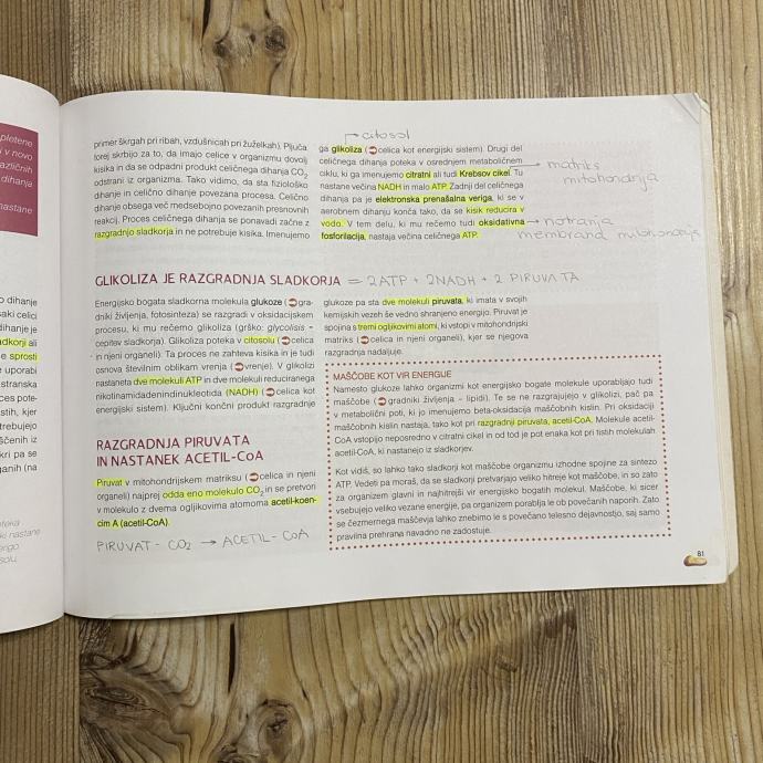 Od molekule do celice (biologija učbenik)