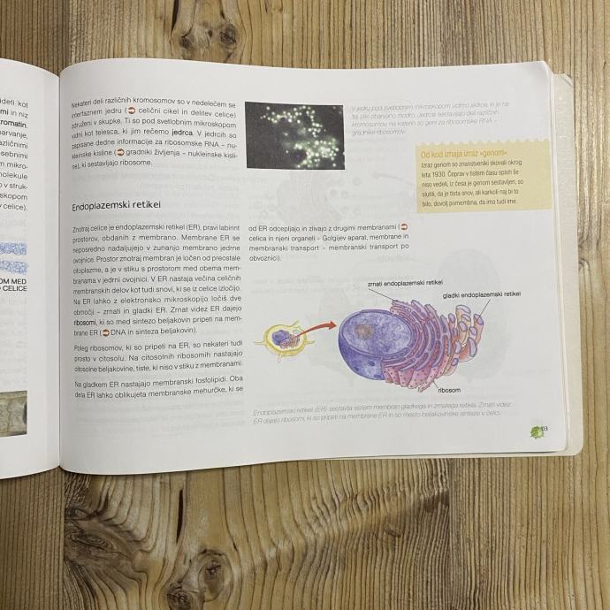 Od molekule do celice (biologija učbenik)