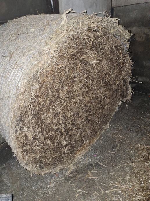 Odjemalec silaže Trioliet Tu 170