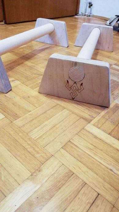 Calistenics lesene ročke
