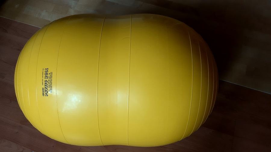 Gymnic terapevtski valj Physio Roll 55 cm