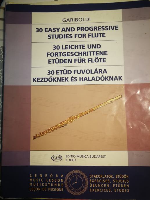 30 easy and progressive studies for flute