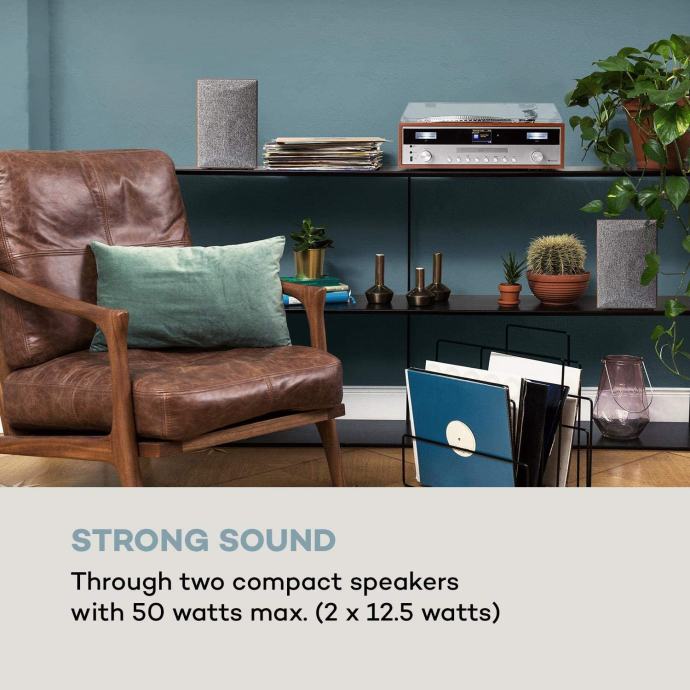 Auna Birmingham HiFi glasbeni stolp