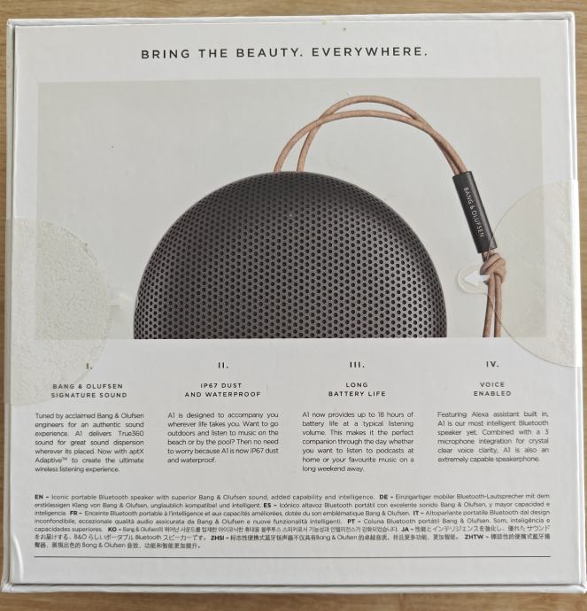 Bang&Olufsen Beosound A1 2. gen.