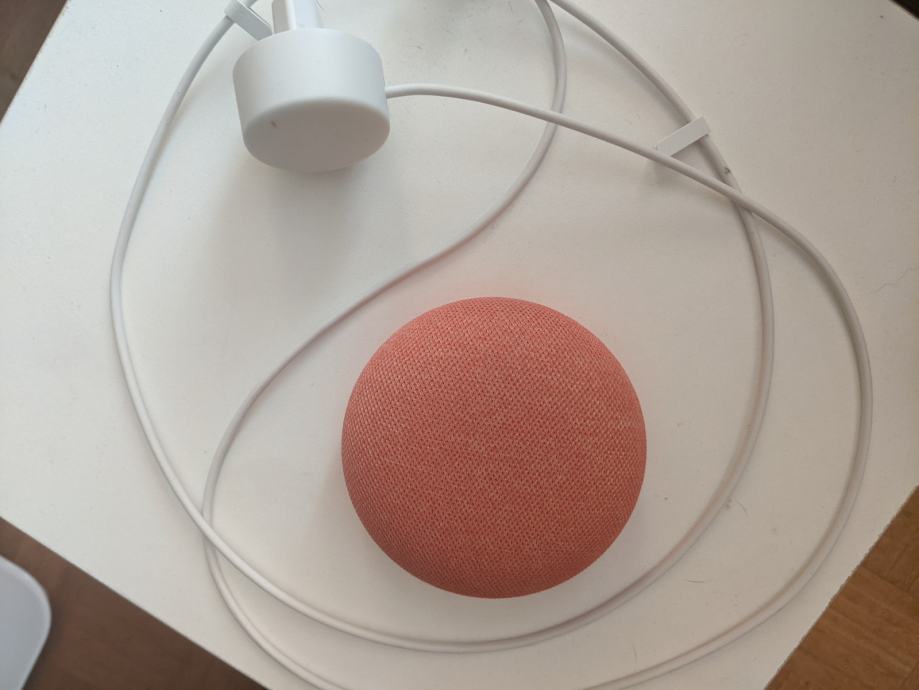 Google home 1st gen coral