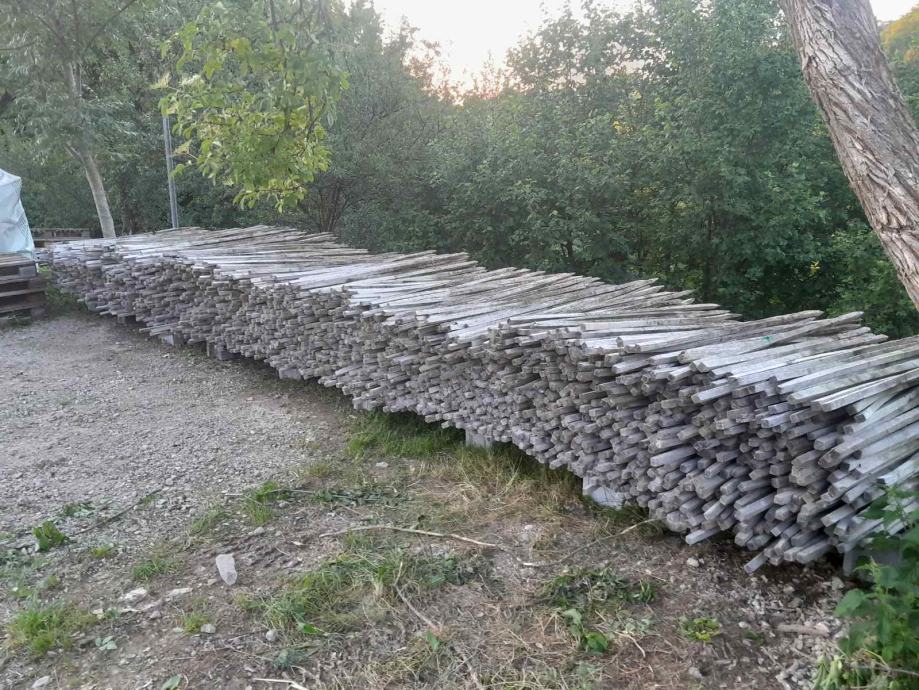 Leseni koli