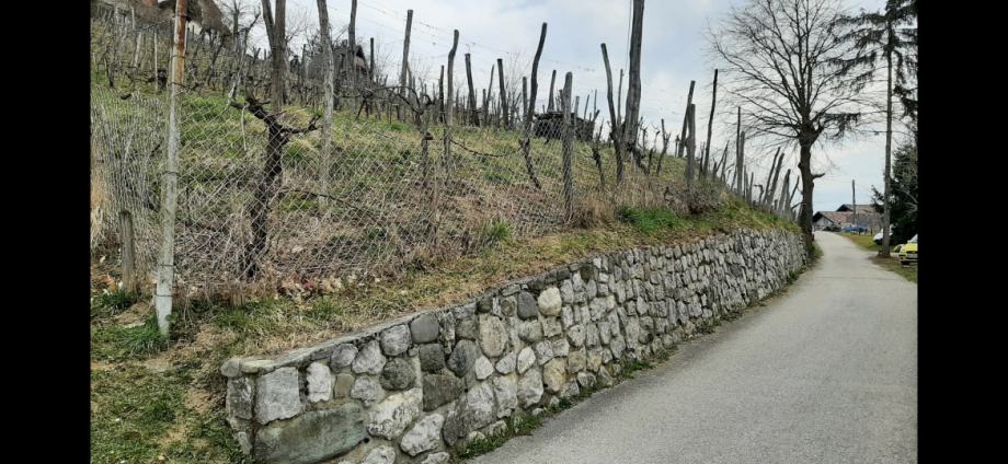 Brezplačno oddam ali propam vinograd, z sadovnjakom in vrtom
