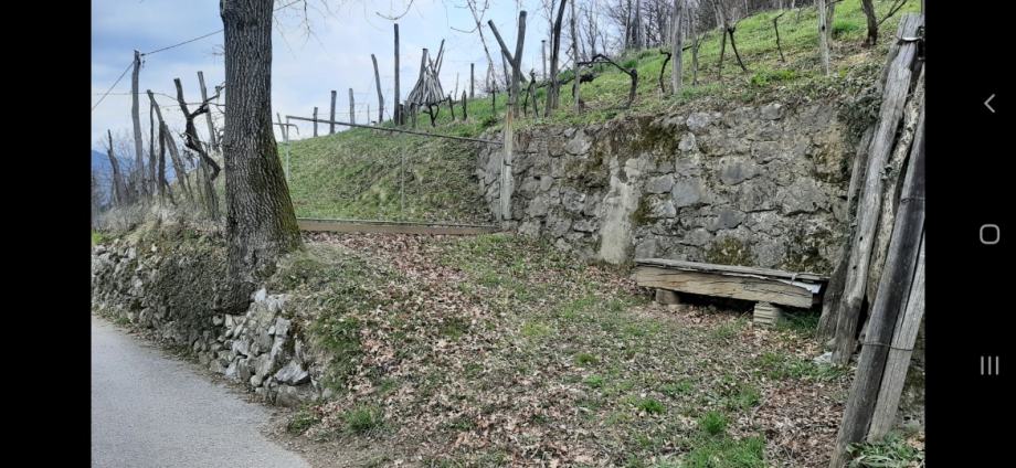 Brezplačno oddam ali propam vinograd, z sadovnjakom in vrtom
