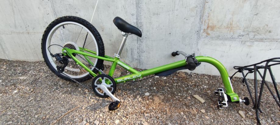Burley Piccolo + Moose Rack