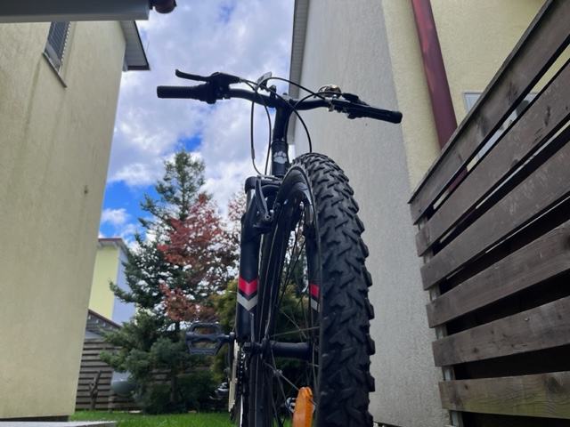 KOLO MUDDYFOX ANARCHY 24