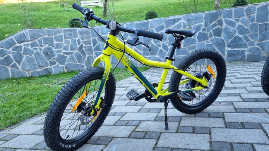Scott Roxter 20