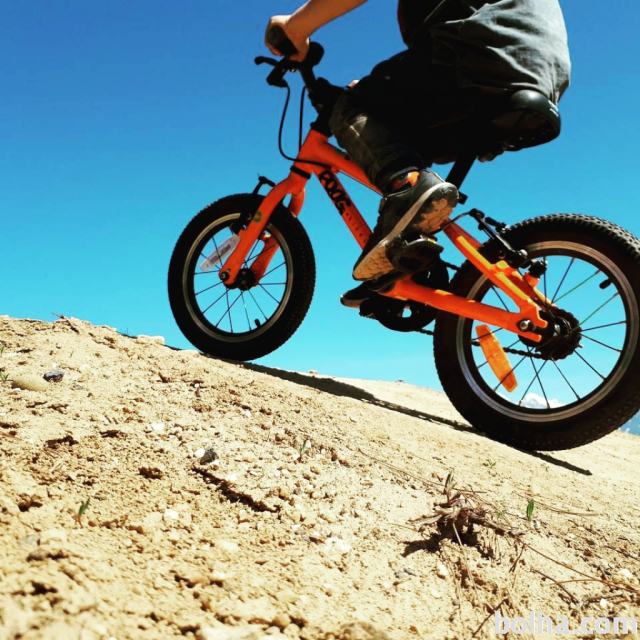 Otroško kolo FROG 43, 14 col