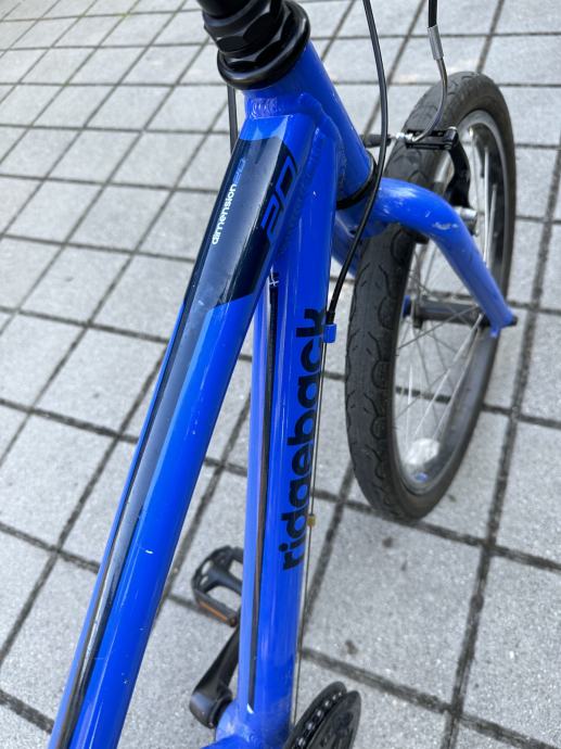 Otroško kolo Ridgeback Dimension 20