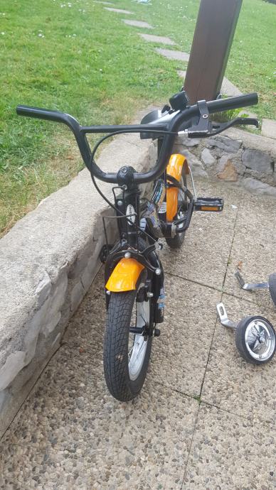 Schwinn Tiger 12