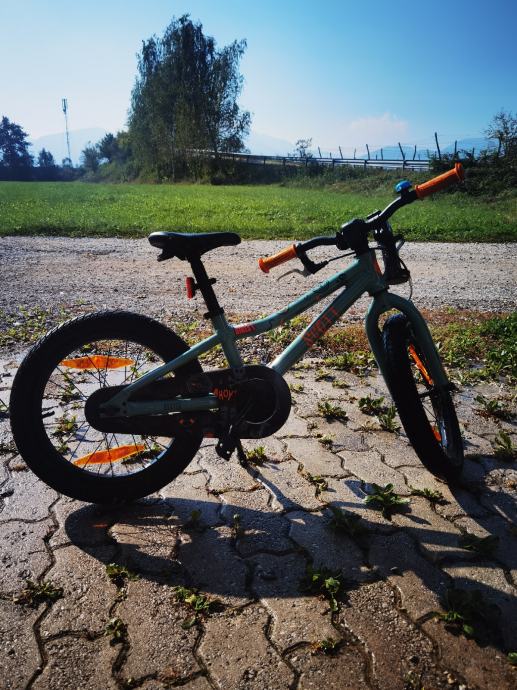 SCOTT ROXTER 16