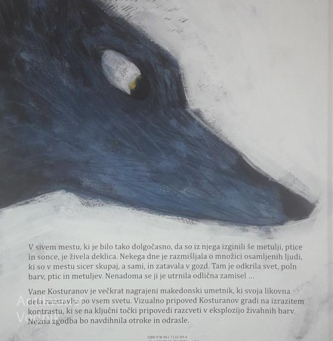 DEKLICA IN MESTO, Vane Kosturanov