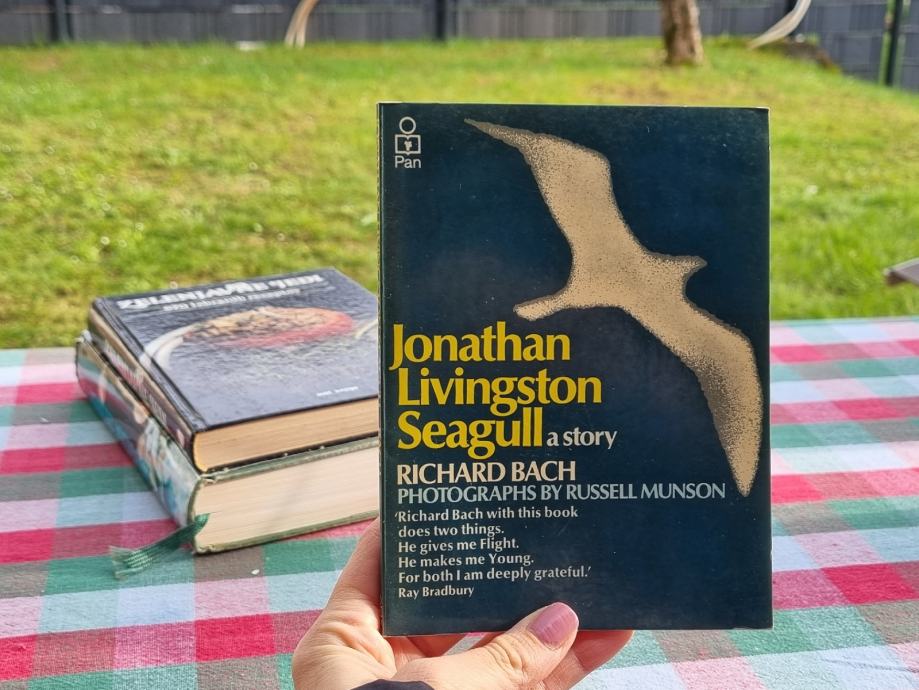 Jonathan Livingston Seagull