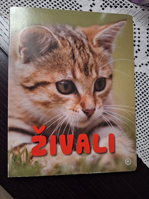 Kartonka Živali (z opisi znacilnosti)
