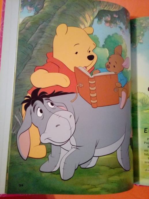 MEDVEDEK PU IN PUJSKOVA VELIKA PUSTOLOVŠČINA (Disney)