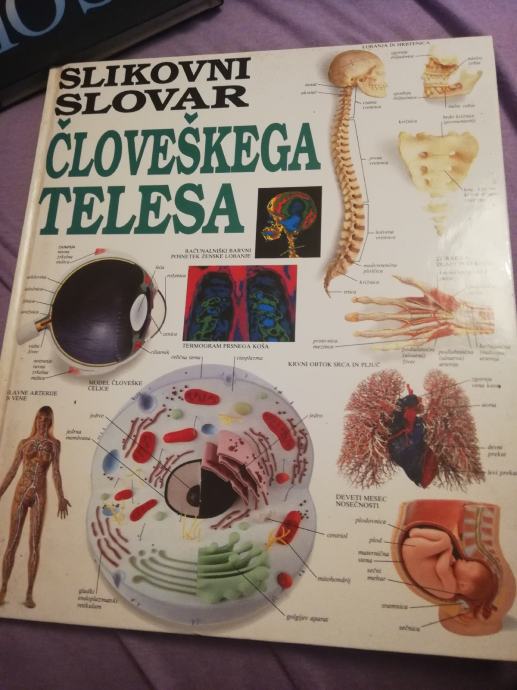 Slovar Človeškega telesa