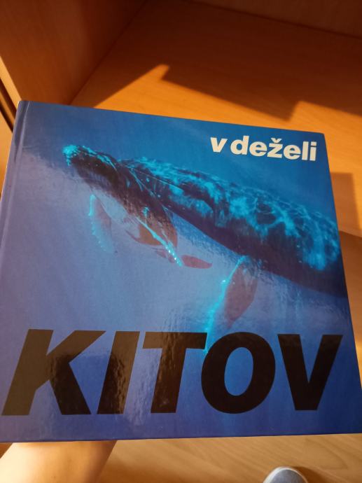 V deželi kitov