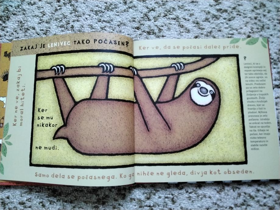 Zakaj?, Lila Prap (Lilijana Praprotnik-Zupančič)