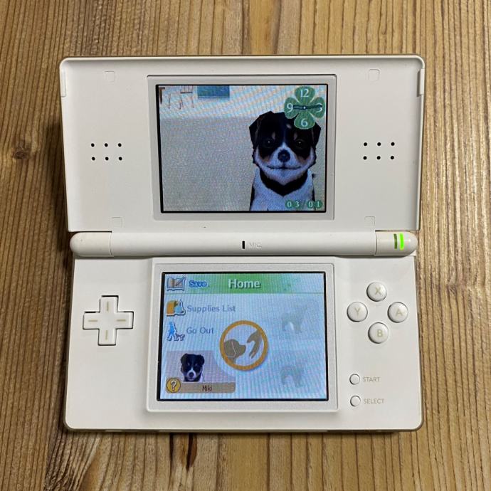 Nintendogs - Nintendo DS igra