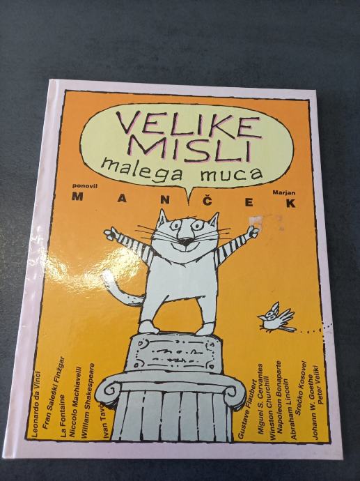 Velike misli malega muca