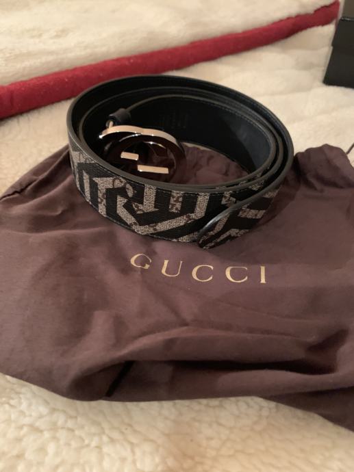 Pas Gucci, moski pas Philip Plein