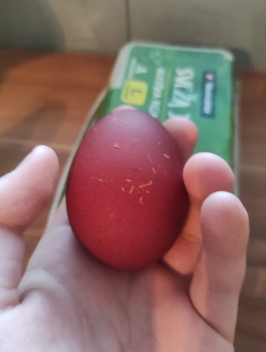 MARANS valilna jajca