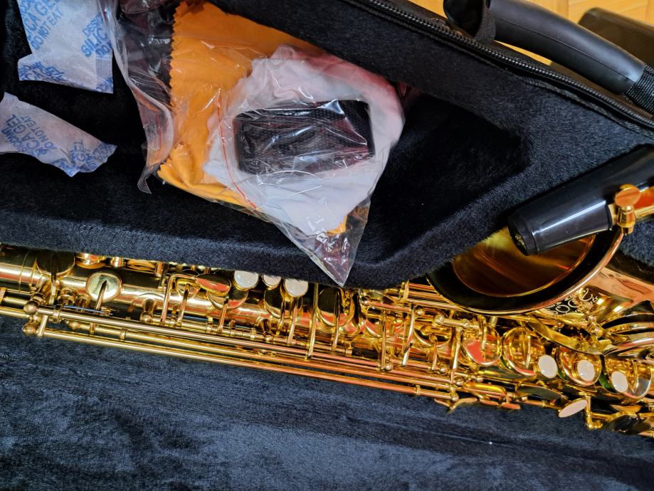 ALT SAKSOFON - NAJEM