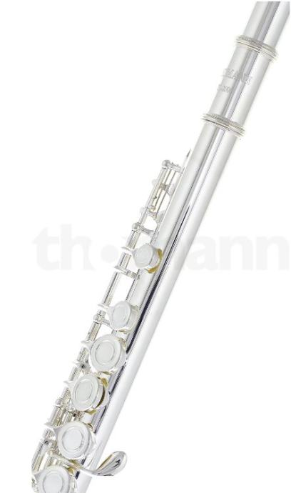 Prečna flavta najem