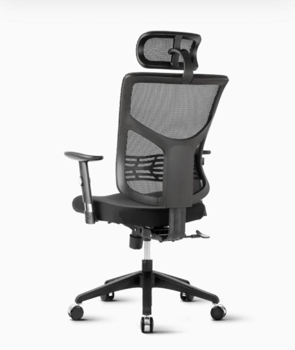 Ergonomski stol Ergovision Essent