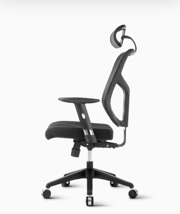Ergonomski stol Ergovision Essent