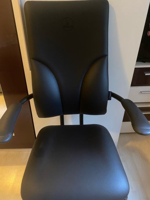 nov spinalis stol apollo